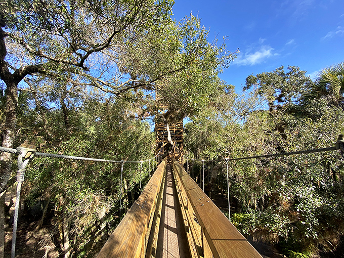 Suspended between earth and sky, this walkway lets you play Tarzan without the loincloth. Yell if you must, but watch for birds! 