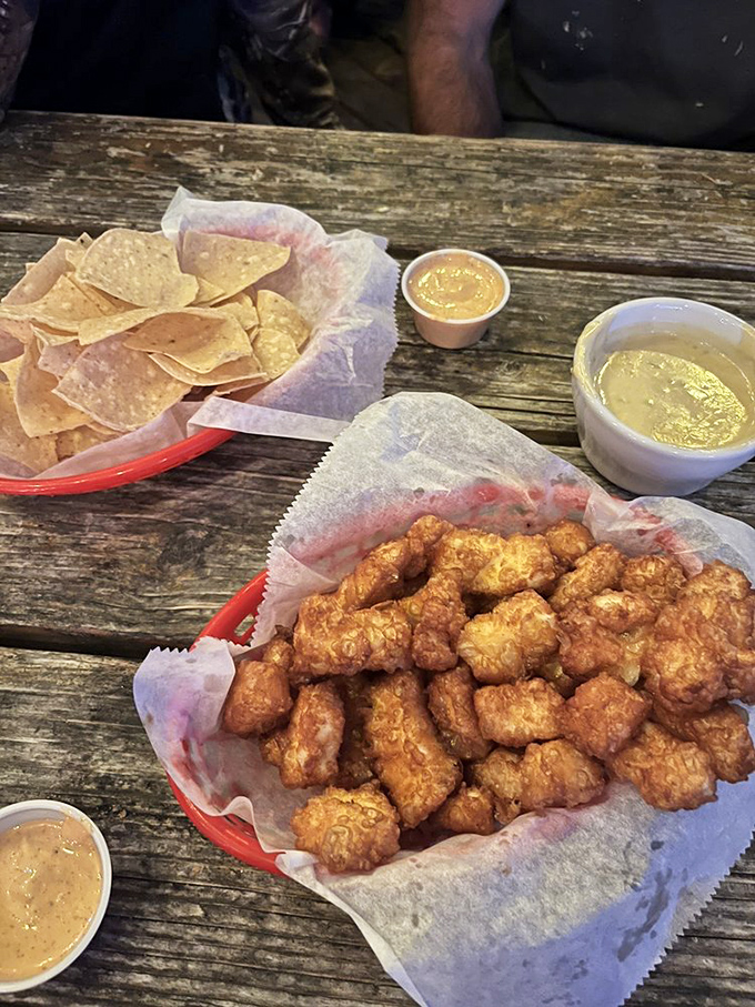 Cheese curds and chips: The dynamic duo your taste buds never knew they needed. Resistance is futile!