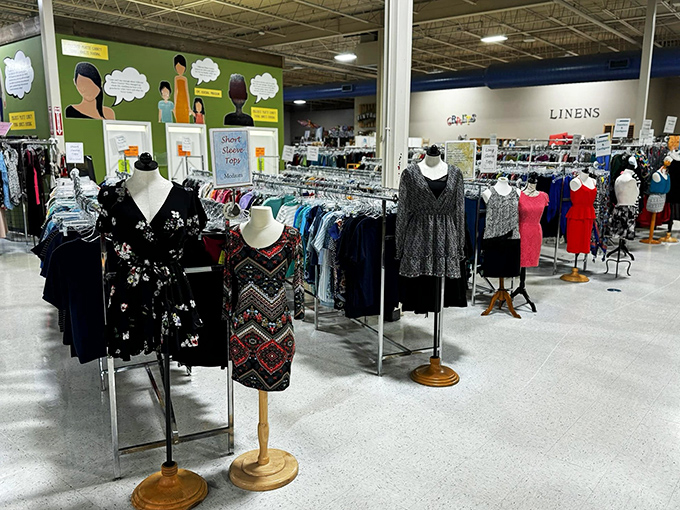 Fashion forward (and backward)! From vintage vibes to modern marvels, this clothing cornucopia is a time-traveling wardrobe waiting to happen.