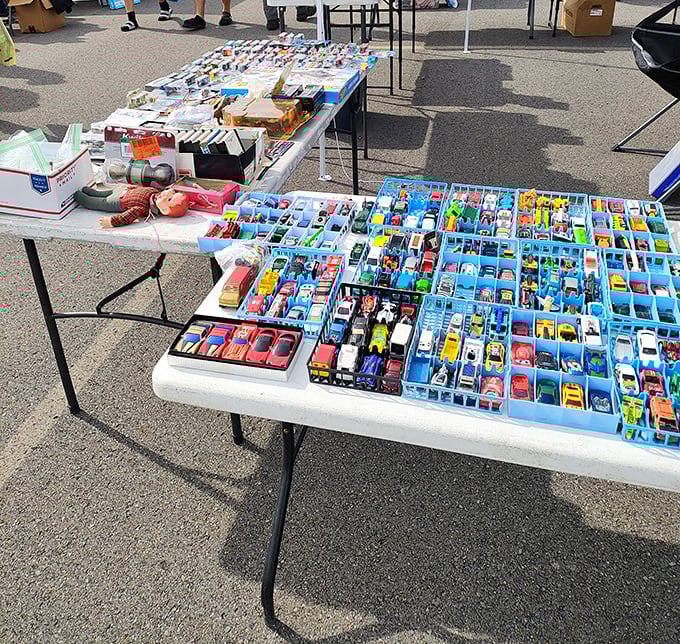 Honey, I shrunk the car collection! These miniature vehicles are fueling big dreams for collectors of all ages.