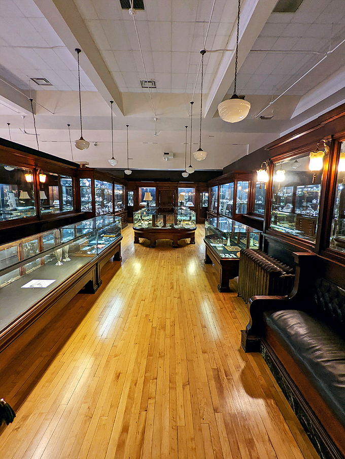 Treasure hunters, rejoice! This room is a goldmine of historical gems. Indiana Jones would be jealous of these artifacts.