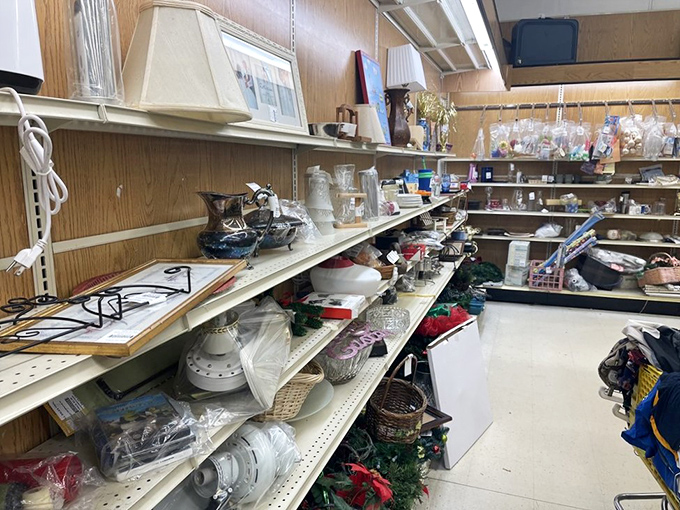 From lamps to vases, it's grandma's attic meets modern treasure trove. Who knew nostalgia could be so neatly organized?