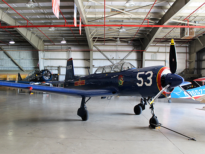 Who says you can't teach an old bird new tricks? This golden oldie is still turning heads and stealing hearts.