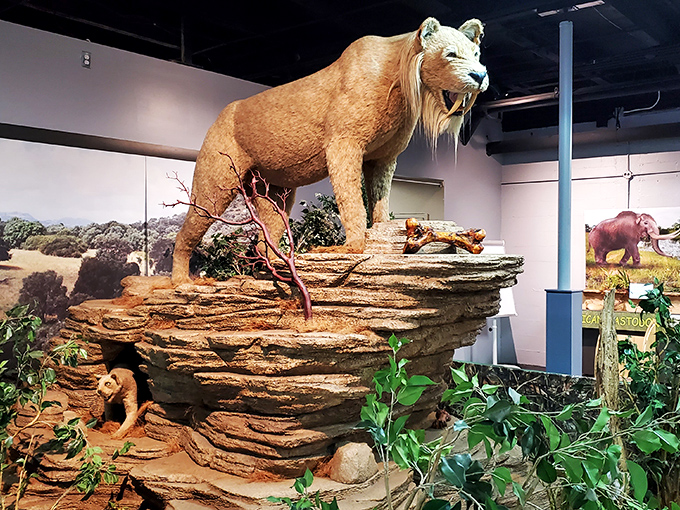 Lions and learning and wonder, oh my! This majestic feline might be stuffed, but the knowledge you'll gain here is anything but fluff.