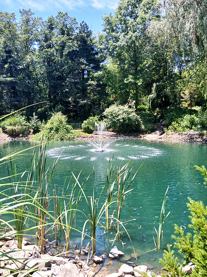Tranquility meets whimsy at this serene fountain. It's like Mother Nature decided to throw her own dance party, complete with a water light show.