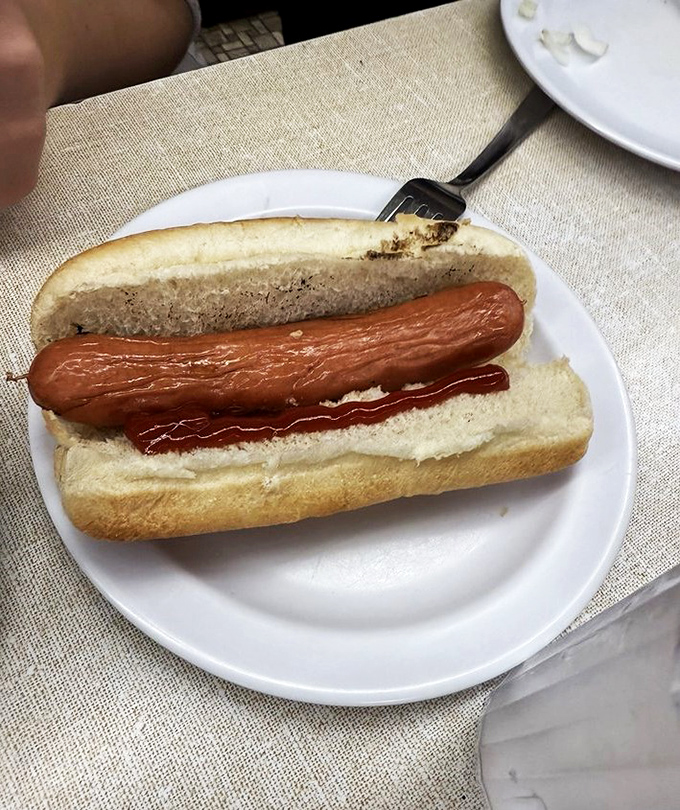 Simplicity at its finest. Sometimes, all you need is a perfectly grilled dog in a soft bun. No frills, just thrills.