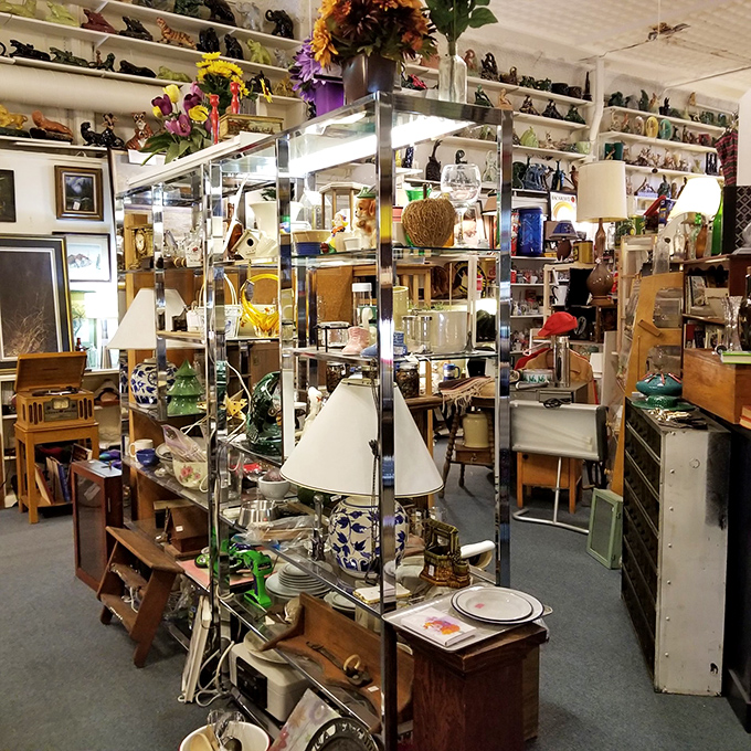 A kaleidoscope of curiosities! This eclectic display is like stepping into Willy Wonka's factory, if he collected antiques instead of making candy.