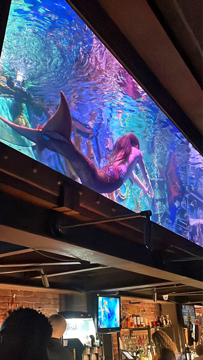 Mermaid sighting at 12 o'clock! No, you haven't had too many cocktails - that's a real-life siren of the sea swimming above the bar.