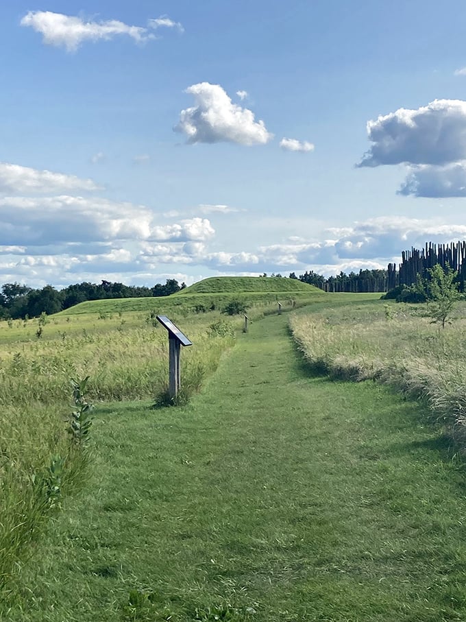 King of the Hill: This mound's got a better view than most penthouse apartments. And the property taxes? Nonexistent!