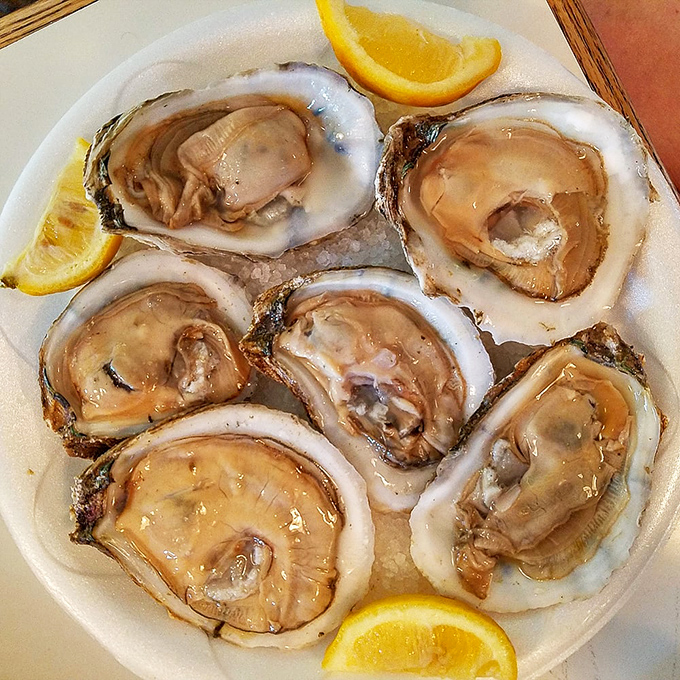 Oysters fit for Poseidon himself! These briny beauties are so fresh, you can practically hear the ocean in each shell.