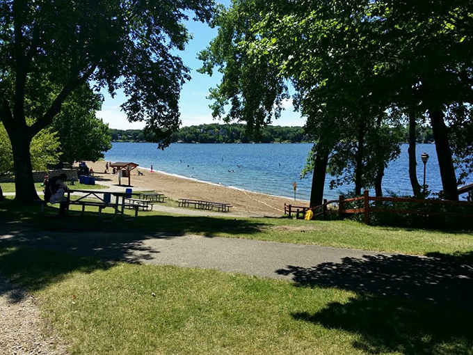 Shady trees, sunny skies, and serene waters - it's like Mother Nature's own version of a 5-star resort, minus the overpriced mini-bar.
