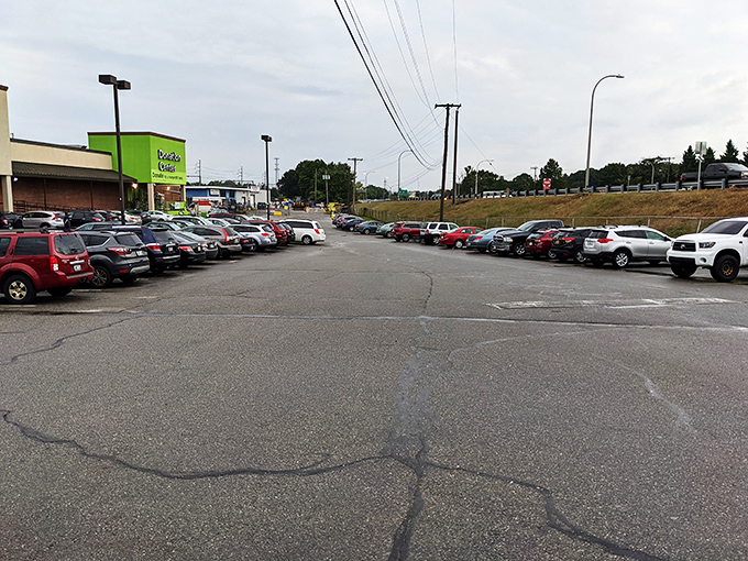 The parking lot: where the adventure begins and ends. Pro tip: remember where you parked, or risk playing "Where's Waldo?" with your car.