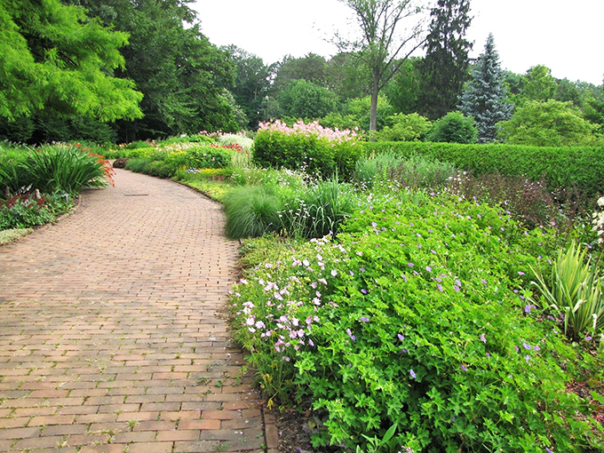 Follow the yellow brick road? Nah, follow this enchanting pathway through a floral wonderland instead.