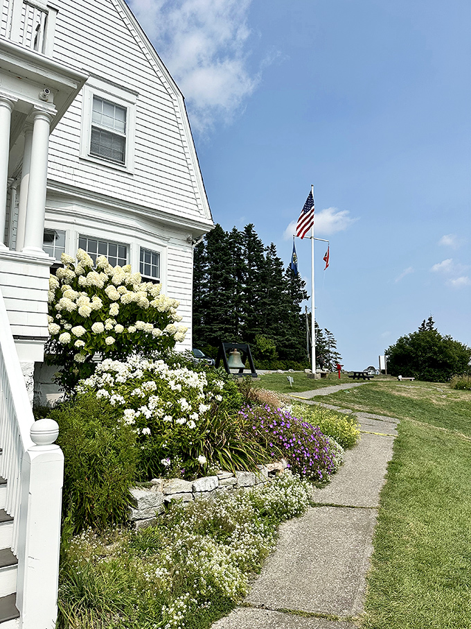 Garden of coastal delights: The keeper's house blooms with hydrangeas and patriotism, a slice of Americana by the sea.