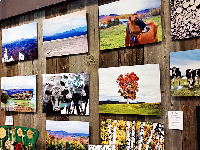 Vermont's greatest hits, now in 2D! These snapshots capture the state's essence so vividly, you can almost smell the fresh mountain air and cow pies.