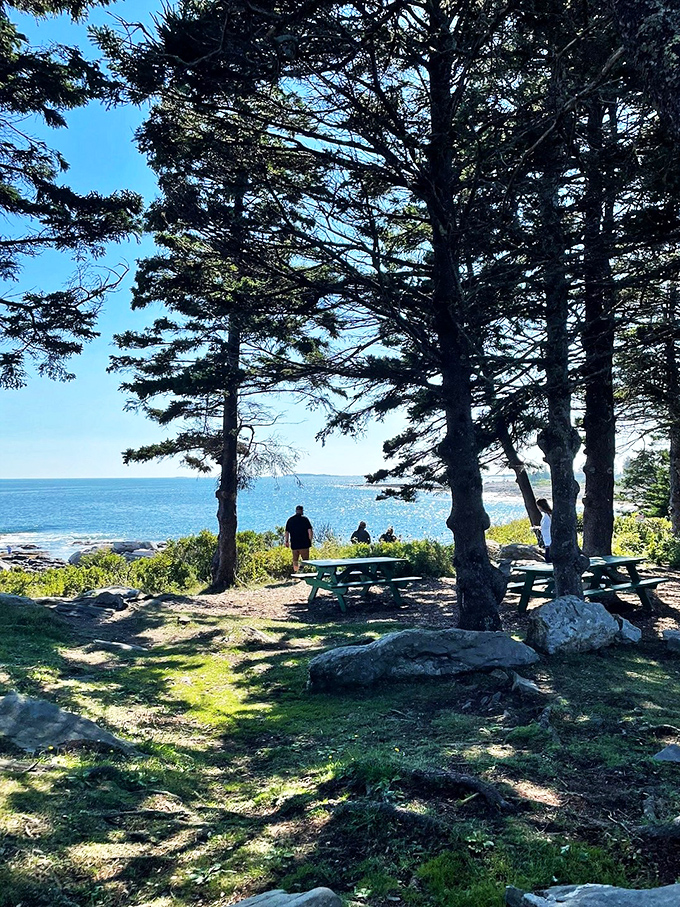 Picnic paradise found: Where else can you munch on your lobster roll with a side of sweeping ocean vistas?