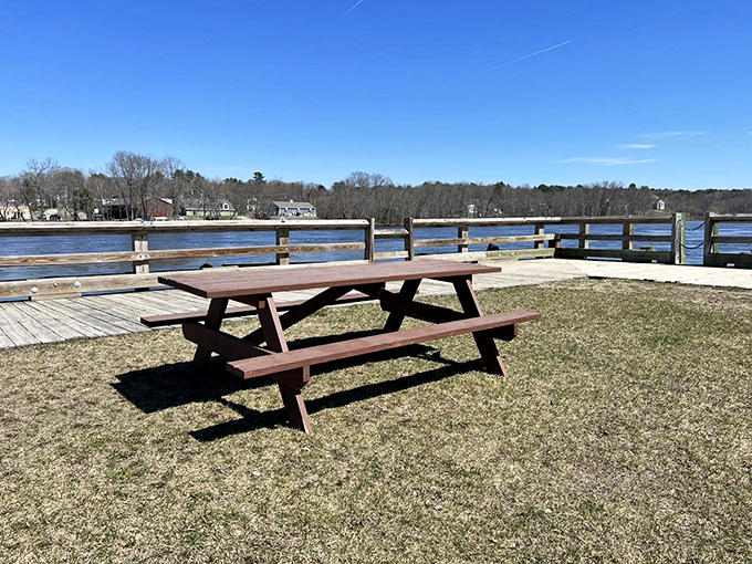 Picnic perfection: Where the grass is always greener, the view is always stunning, and ants are always uninvited guests.
