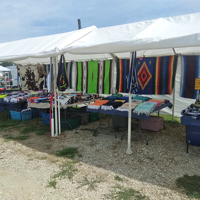 Wrap yourself in warmth and whimsy! These vibrant quilts and blankets are like wearable hugs from a technicolor dreamcoat.