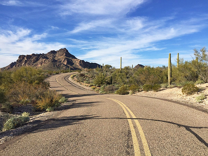 "The yellow brick road's sun-baked cousin!" This winding desert highway promises adventure at every turn. Just don't expect to find any flying monkeys &ndash; maybe just a roadrunner or two.