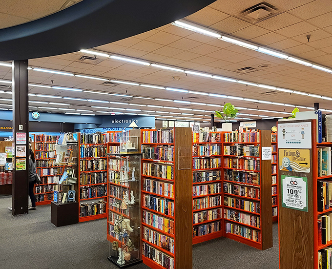 Book bonanza! These shelves are like a literary forest, dense with stories waiting to be discovered. Time to get lost in the woods!