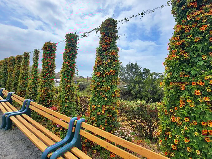 Take a seat and smell the roses (or whatever's blooming). These colorful chairs are nature's version of front-row tickets to the best show in town.