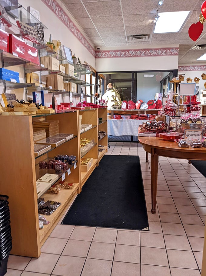 Shelf-indulgence at its finest! Each row is a new adventure in sweetness. It's like a treasure hunt, but every prize is edible.