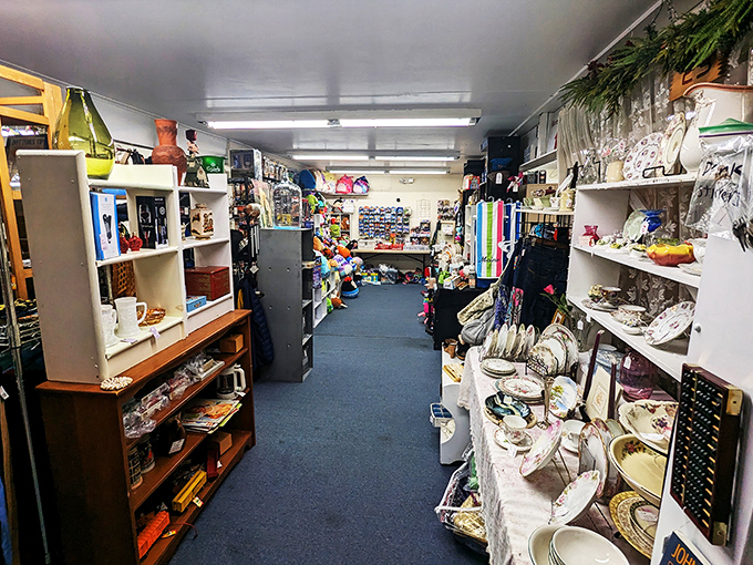 A corridor of curiosities that would make Indiana Jones feel right at home. Adventure is just a shelf away!