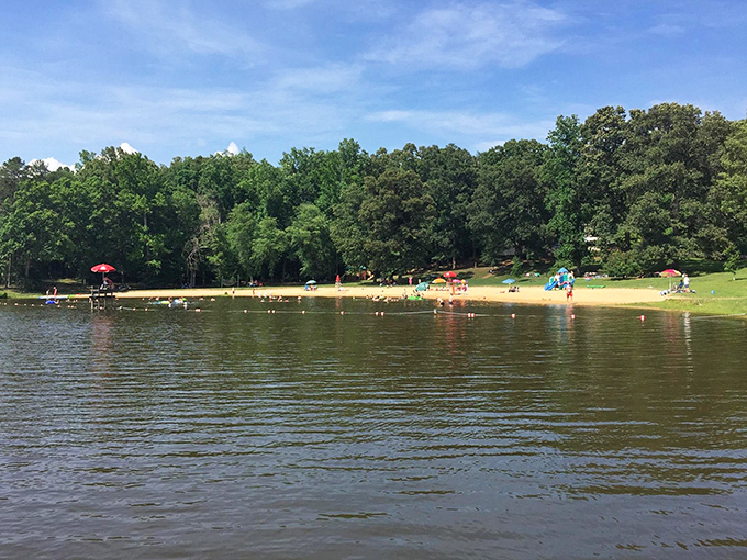 Lake life, Virginia style: where every day feels like a vacation, even if you're just here for lunch.