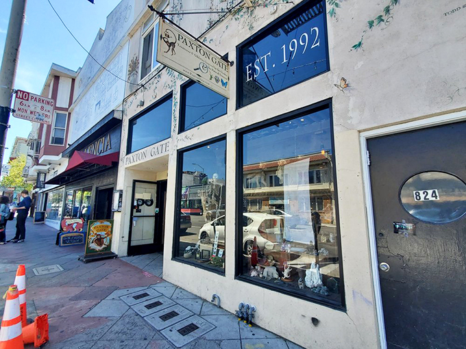 Established in 1992, but feels like it's been here since the Jurassic! Paxton Gate: where time travel meets taxidermy.