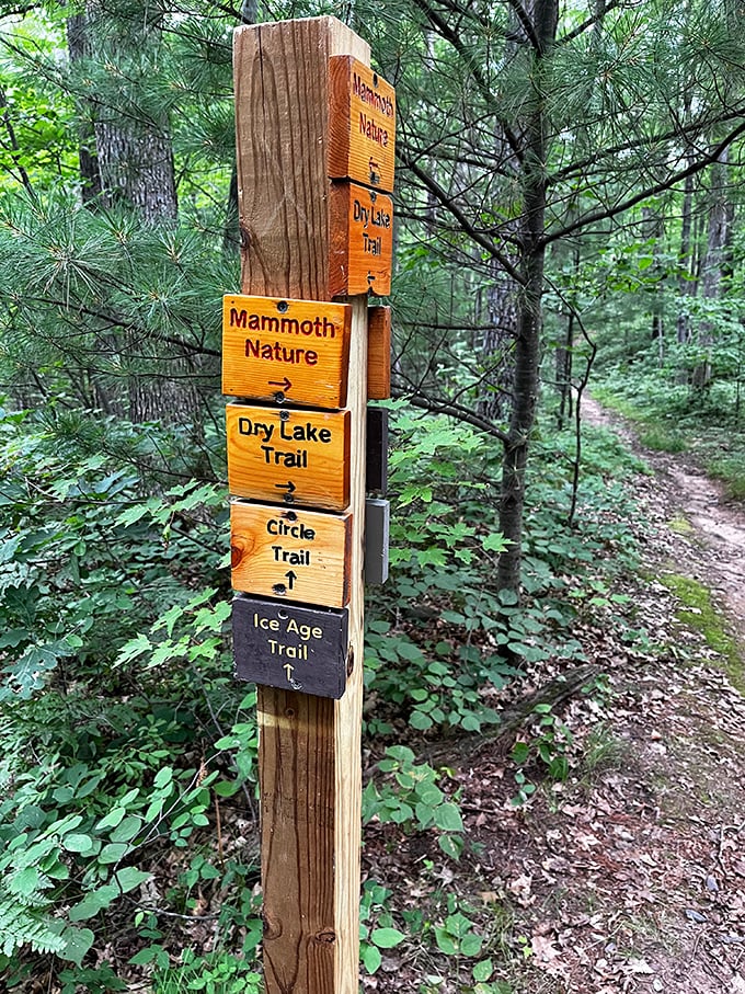 Choose your own adventure: With trails named "Mammoth" and "Ice Age," you're in for a prehistoric good time &ndash; no DeLorean required.