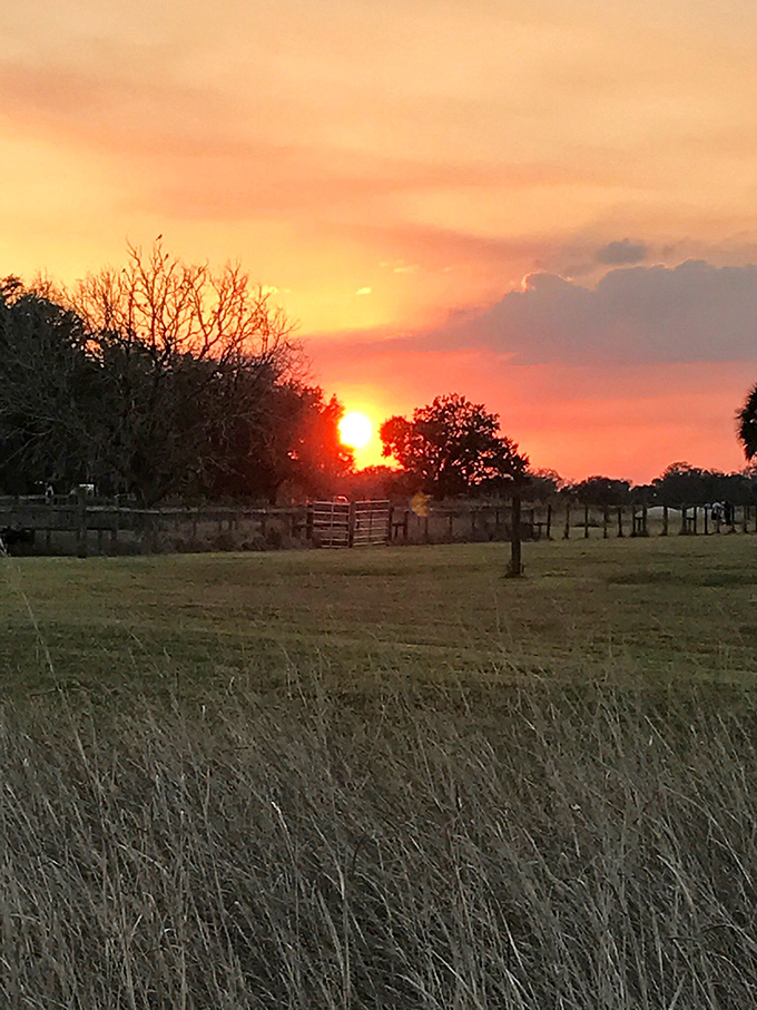 Sunset symphony: Mother Nature's daily farewell performance, painting the sky in hues that would make Monet jealous.