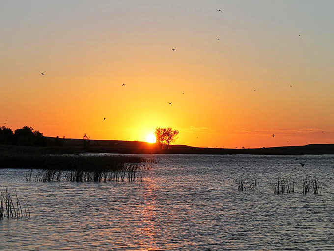 Nature's grand finale! As the sun bids farewell, Bear Butte Lake becomes a mirror, reflecting the day's last hurrah in technicolor splendor.