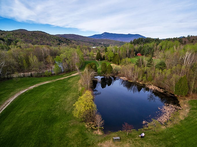 Bird's eye candy! This aerial view showcases nature's perfect balance of land and water. It's like Mother Earth decided to paint a masterpiece.