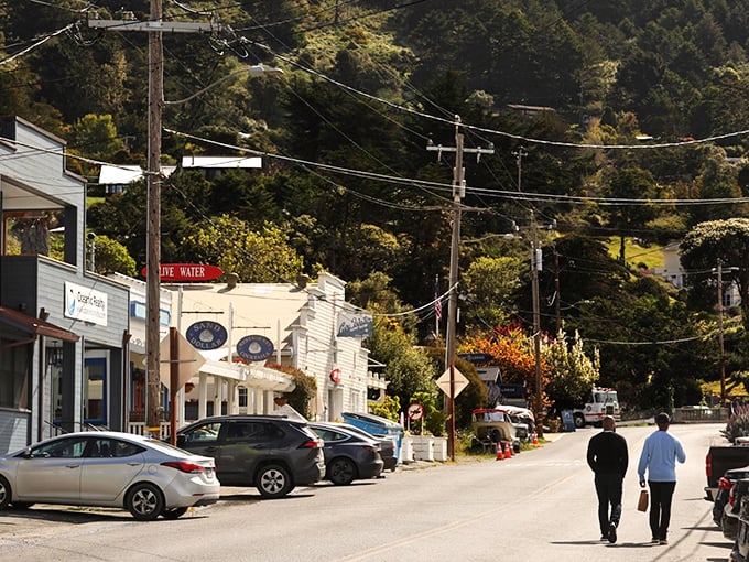 Main Street, Stinson style. Where the biggest traffic jam is deciding which charming shop to visit first.