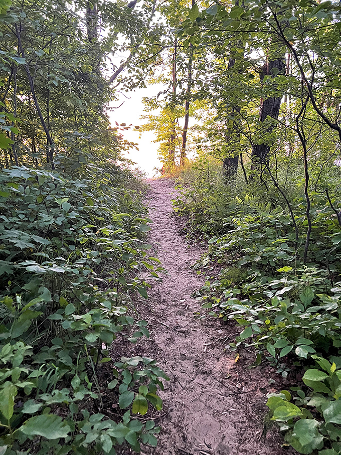 The path less traveled... until now. Brimley's trails: your personal yellow brick road to outdoor bliss.