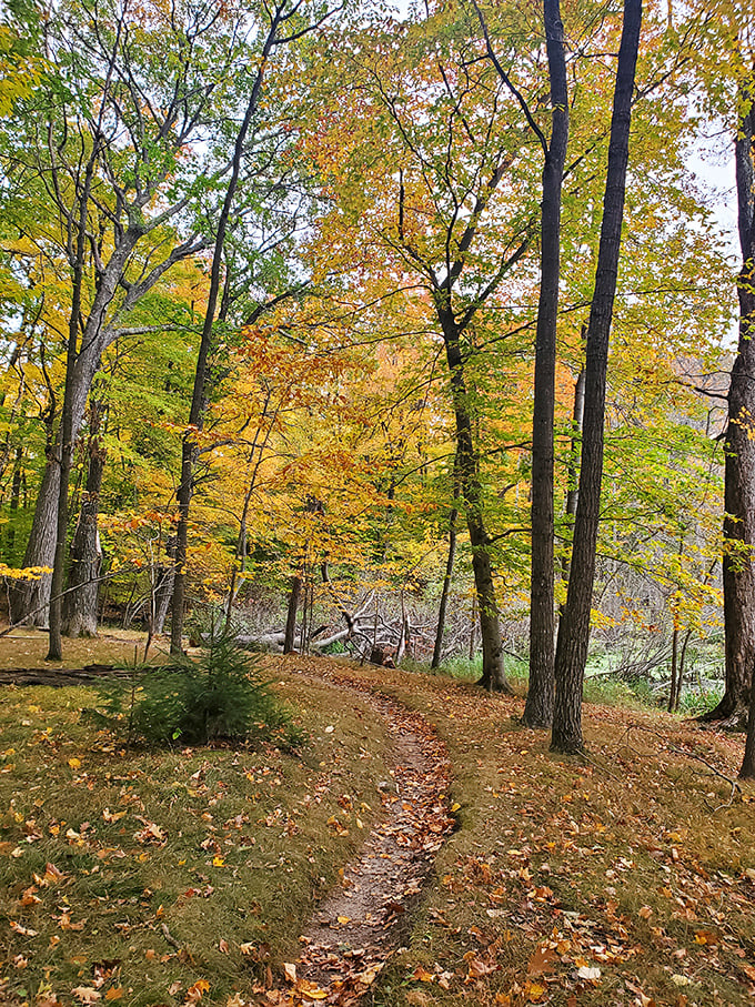 Autumn in Wisconsin: Where the leaves put on a show that rivals Broadway, and the hiking trails are nature's red carpet.
