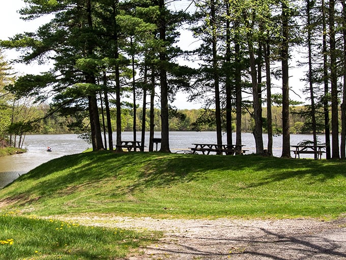 Nature's cathedral: Where the trees stand tall, the breeze whispers secrets, and squirrels are the mischievous altar boys of the forest.