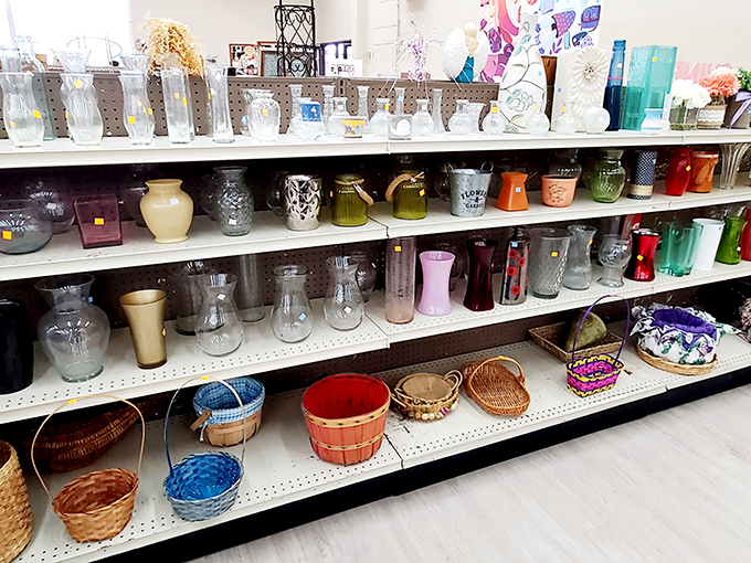 Vase-ta la vista, baby! This glassware gallery is where flower arrangements dream of their forever homes. It's a bouquet of possibilities, minus the wilting.
