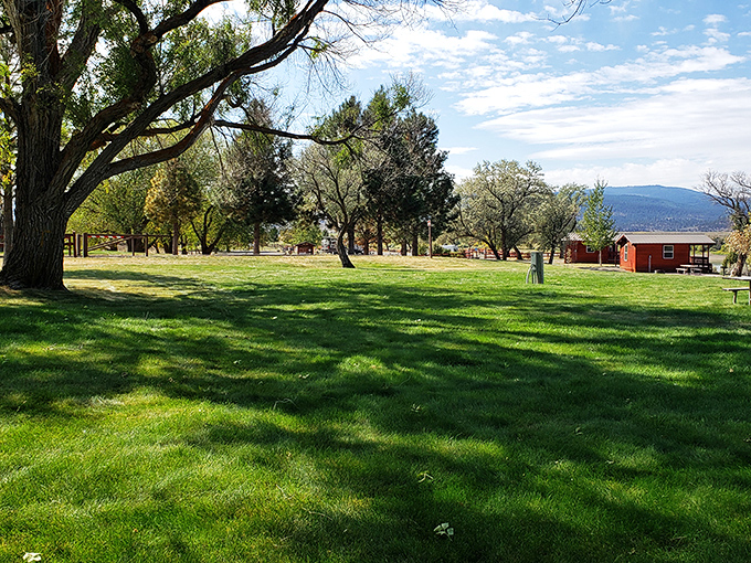 Nature's red carpet treatment! This tree-lined path leads to adventure, no paparazzi included.