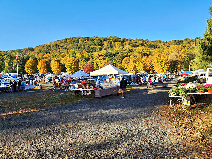 Autumn in New England, flea market edition. Mother Nature's showing off her color palette while shoppers hunt for hidden gems.