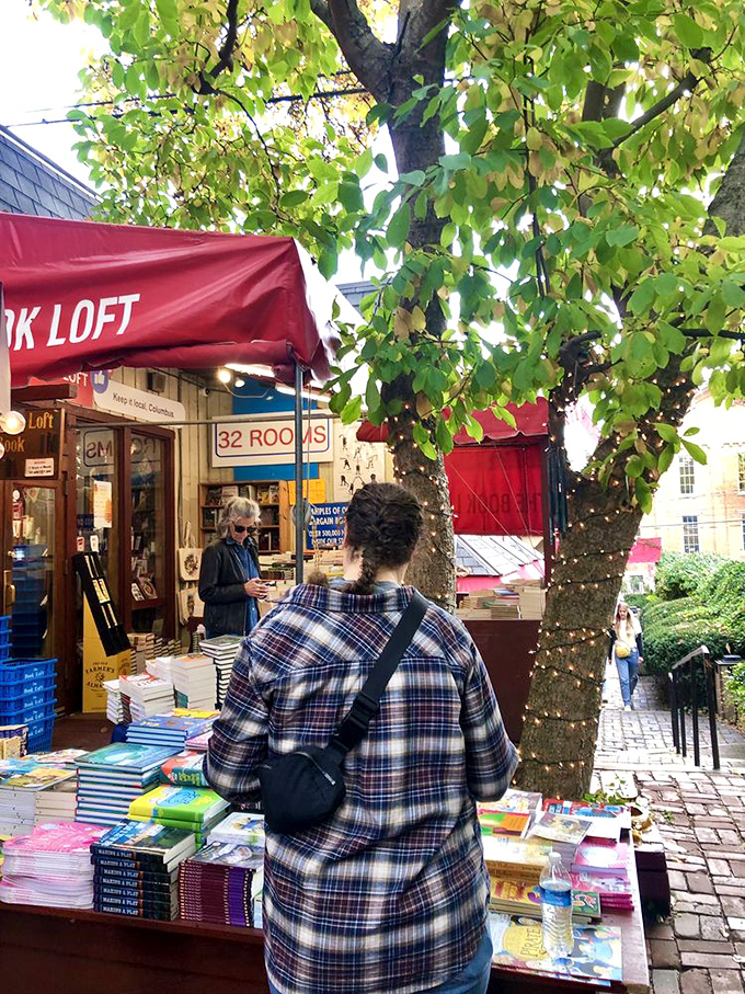 Book lovers in their natural habitat! Watch as they carefully select their next literary adventure under the watchful eye of Mother Nature.