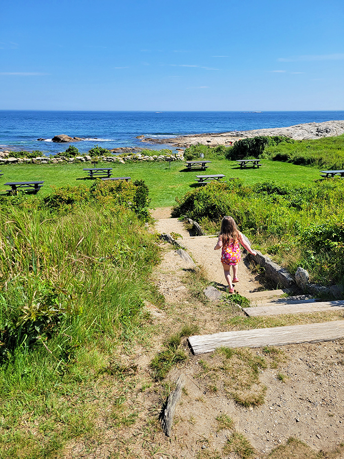 Follow the sandy brick road: A path that promises adventure, relaxation, and maybe a slight sunburn. Don't forget your SPF, Dorothy!