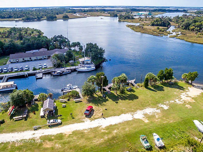 Crystal River: Manatee paradise! It's like Finding Nemo's retirement home &ndash; calm, clear, and full of gentle giants.