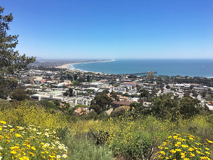 Sausalito: Where million-dollar views come standard. The charming waterfront offers postcard-perfect vistas of San Francisco Bay.