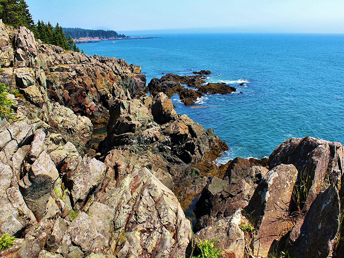 Coastal cuteness overload: Machias is so quaint, it makes Hallmark movies look gritty. And don't get me started on the seafood!
