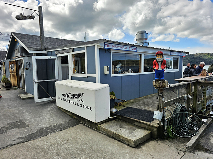 Forget farm-to-table, this is bay-to-belly dining at its finest. The Marshall Store: where freshness meets fun on the California coast!