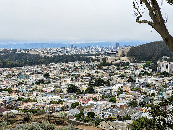 A bird's eye view that'll make your heart soar. San Francisco, you sly minx, you've never looked so good!