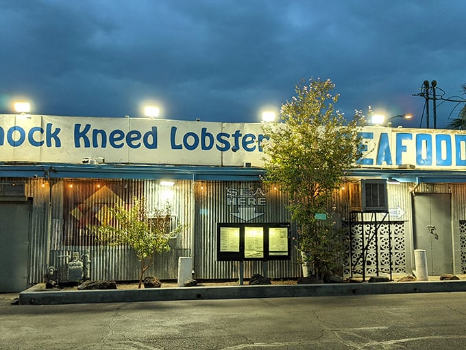 As night falls, Knock Kneed Lobster becomes a beacon of seafood salvation in the desert. Talk about a neon oasis!