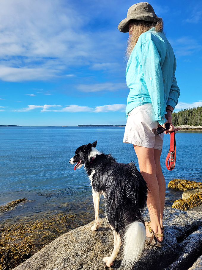 "I'm king of the world!" Okay, it's no Titanic, but with views like this, who needs a cruise ship? Maine's coastline: 1, Hollywood: 0.