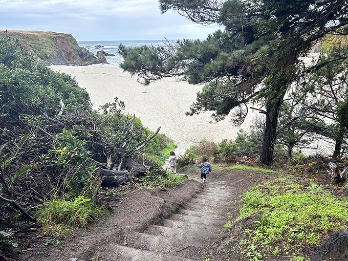 "The path less traveled." This trail to the beach is like the yellow brick road, but with sand instead of emeralds at the end.